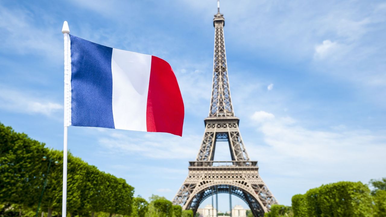 France could reach 30 captives this year | Captive International